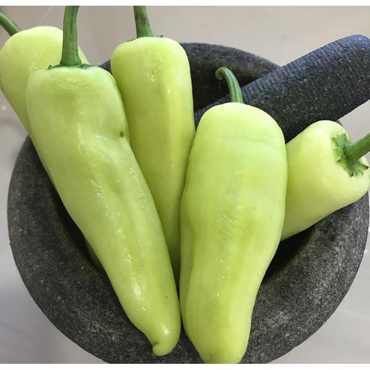 Biji Benih Lada ( Pelbagai Jenis Lada ) | Shopee Malaysia