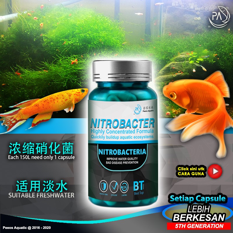 PA Nitrobacter 5th Generation Concentrated Nitrobacteria Formula ...