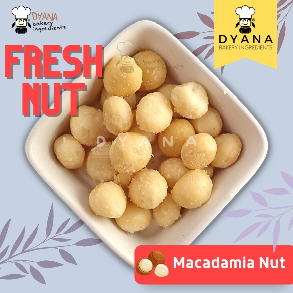 Fresh Raw Macadamia 100g , 250g , 500g, 1kg | Shopee Malaysia