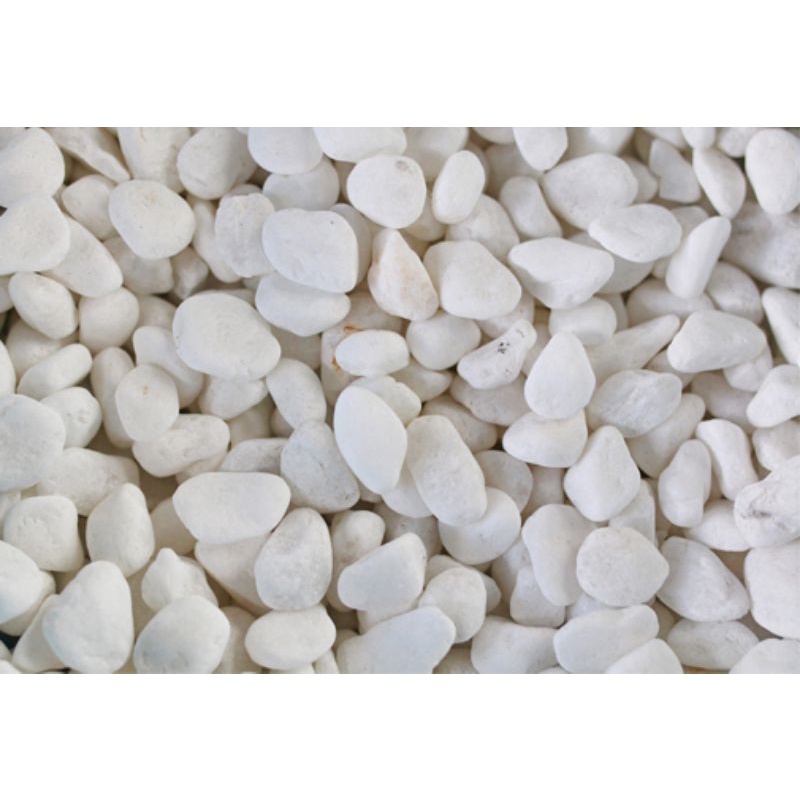 White Pebbles 200g | Shopee Malaysia