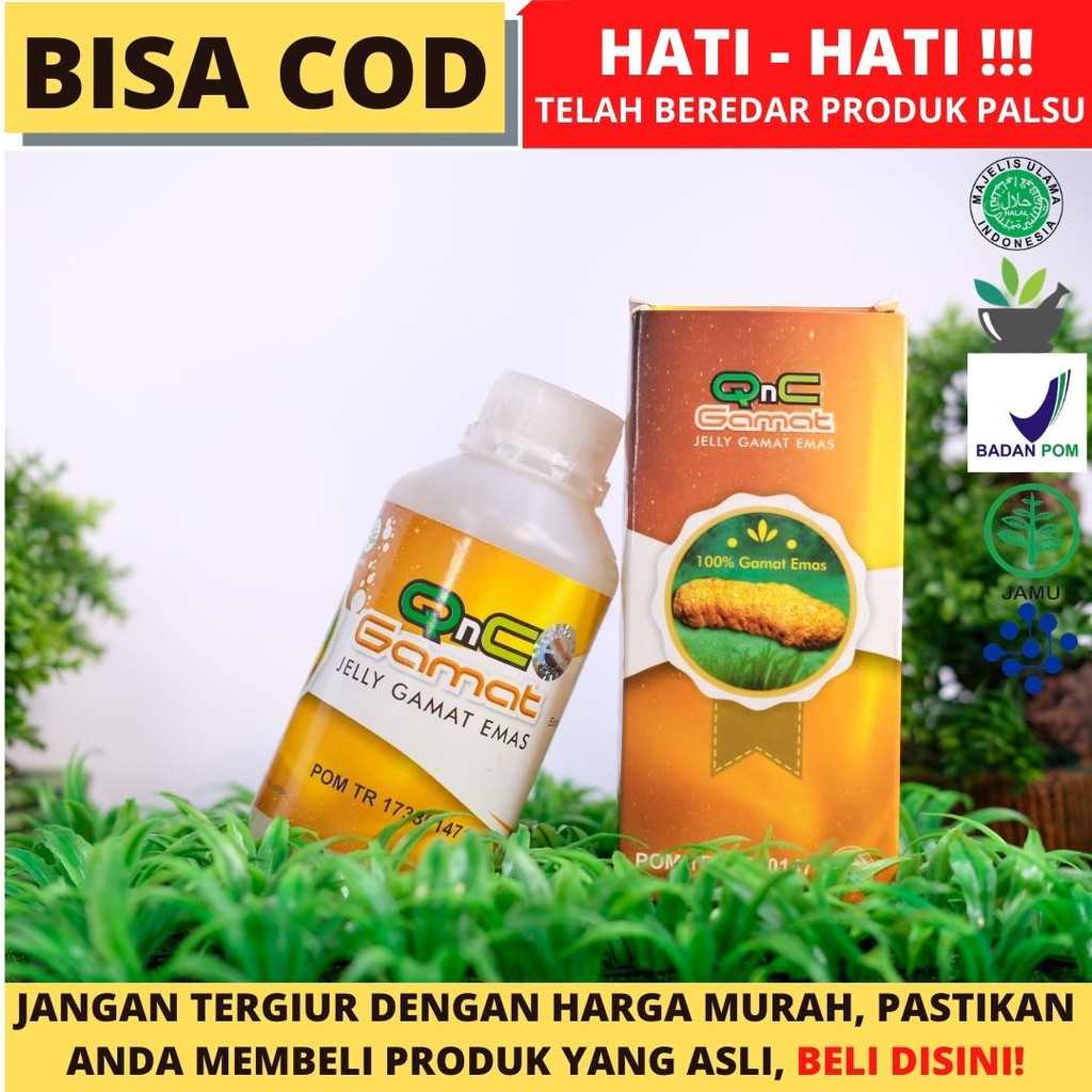 Qnc Jelly Gamat Gold 100% ORIGINAL / Medicine For Burn Wounds / Dry ...