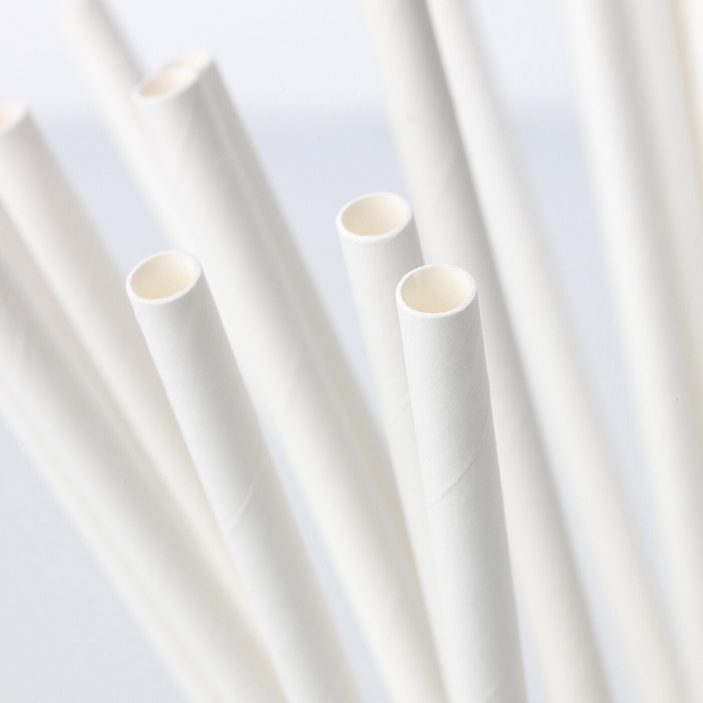 Paper Straw Straw Kertas 6mm X 197mm Plain White Shopee Malaysia