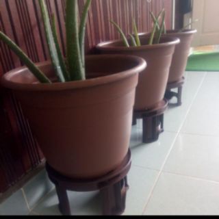 Pelapik pasu bunga/ plastik | Shopee Malaysia