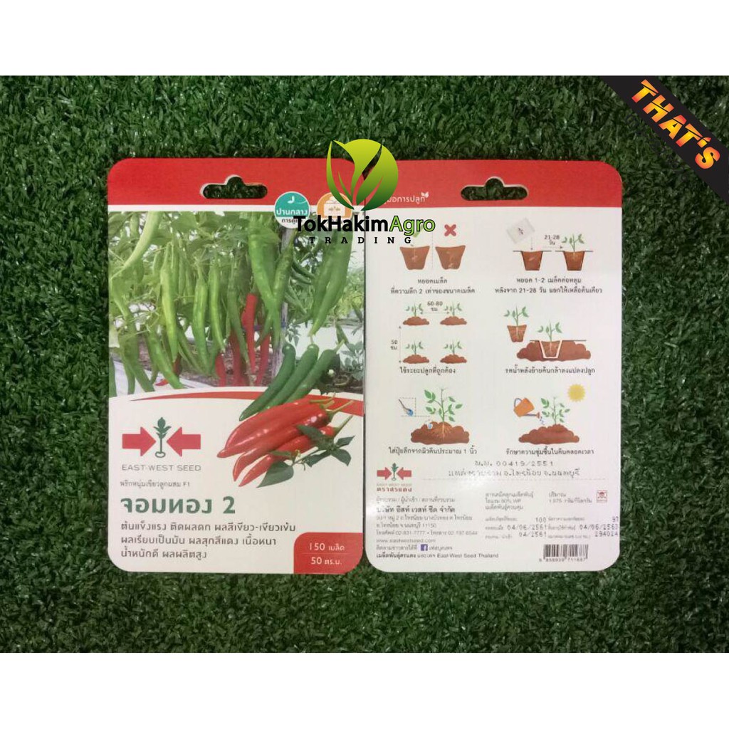 Biji Benih Cili Besar Hibrid F1 Cap Panah Merah/East West (150 biji ...