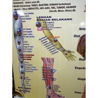 Poster Titik Bekam Lengkap - Piffle.me