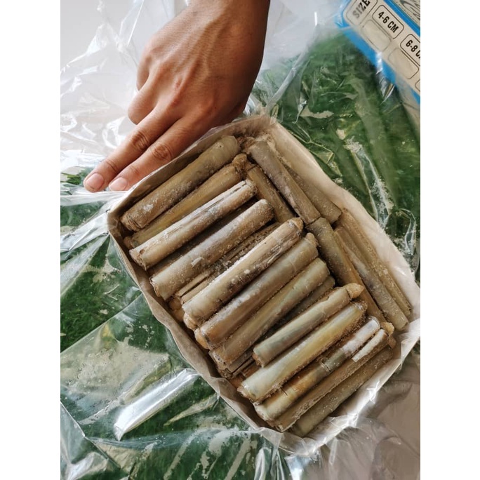 King Bamboo Clam/Razor Clam 1kg | Shopee Malaysia
