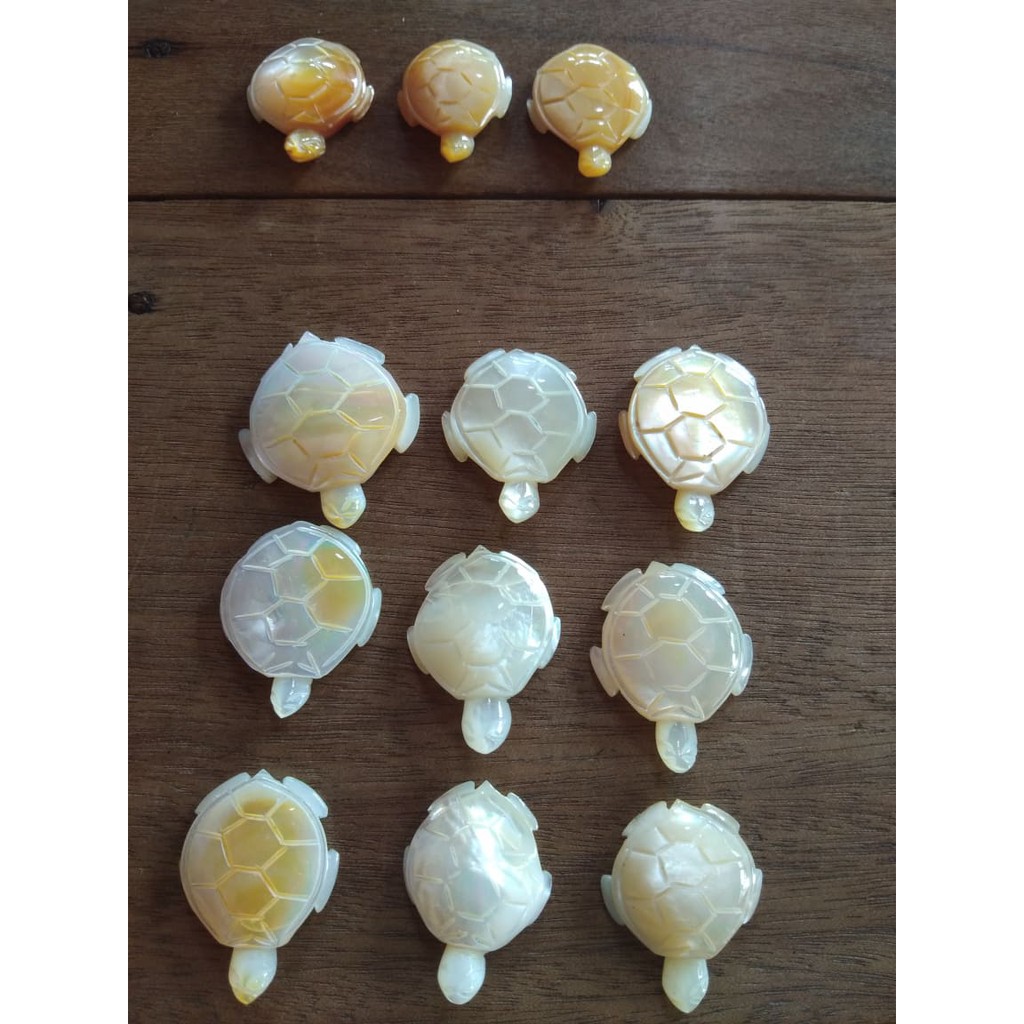 Pearl Tortoise ( Collectable ) | Shopee Malaysia