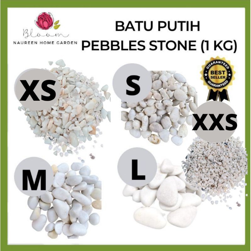 WHITE STONE ( 1KG ) : Batu Putih Hiasan / Pebbles stone / Perlite ...