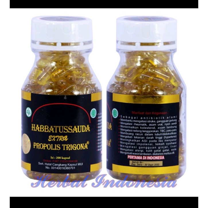 Habbatus sauda Extra Propolis Trigona - 200 Kapsul (new stock) | Shopee ...