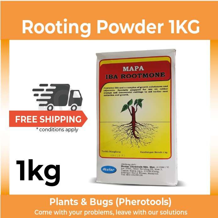 Plants & Bugs Online - All Products