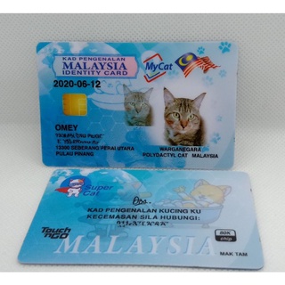 PVC CARD IC KUCING COMEL | Shopee Malaysia