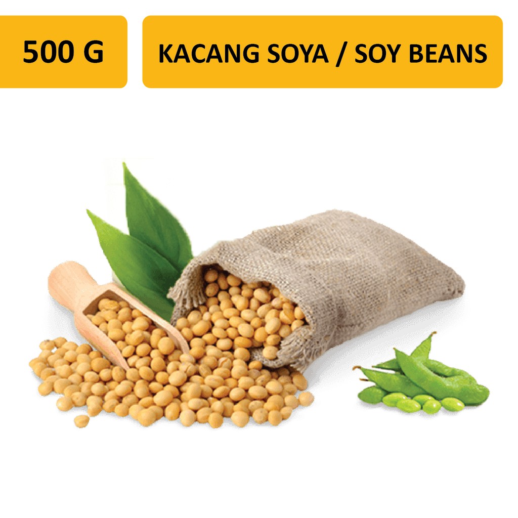 [Ready Stock] 500g Kacang Soya / Soy Beans | Shopee Malaysia