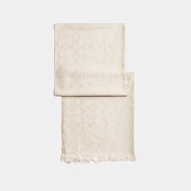 Coach F39425 Metallic Signature Wrap (Platinum) | Shopee Malaysia