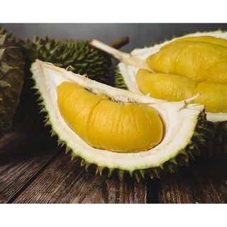 Durian Tangkai Panjang (D158) / Pokok Hybrid / Durian Kahwin / Anak ...
