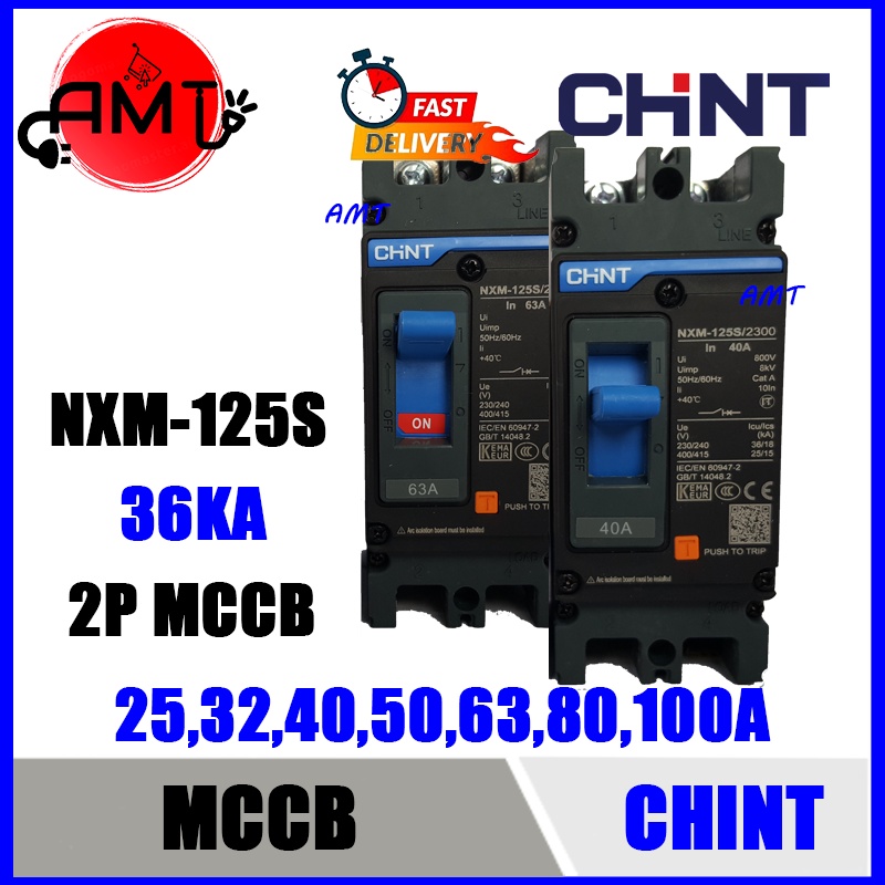 CHINT MCCB 2P NXM-125S 36KA 25A 32A 40A 50A 63A 80A 100A | Shopee Malaysia