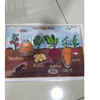 Quiet Book 3in1 How Things Grow | Shopee Malaysia