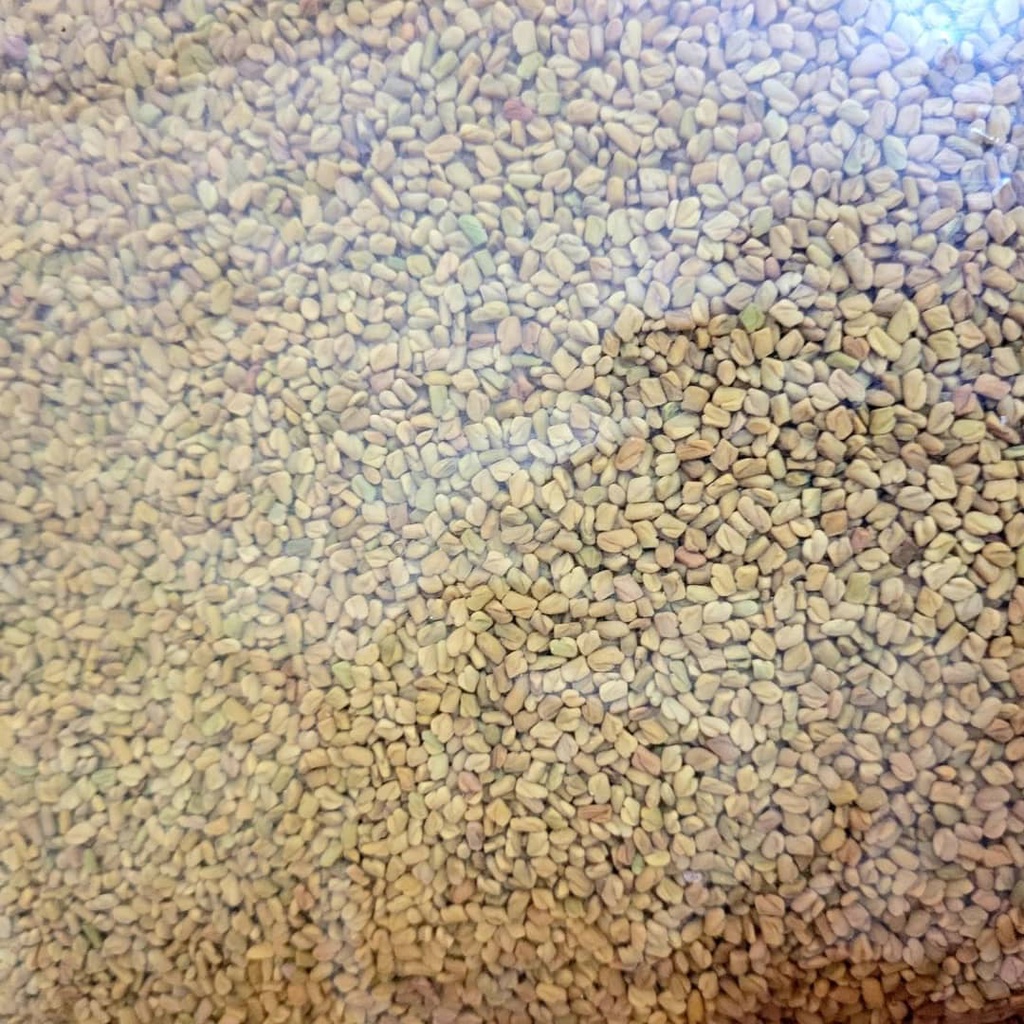 Rempah Halba Fenugreek 1kg | Shopee Malaysia