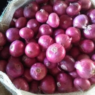 READY STOCK!! BAWANG ROSE/BAWANG KECIL/BAWANG KECIL INDIA/BAWANG SIAM ...