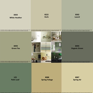 Jotun 1L Majestic True Beauty / Essence Cover Plus / 8303 / 8222 / 8302 ...