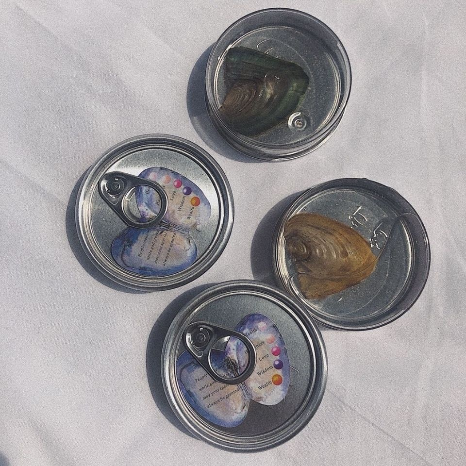 Pearl blind box open clam take fresh water clam self open can creative ...