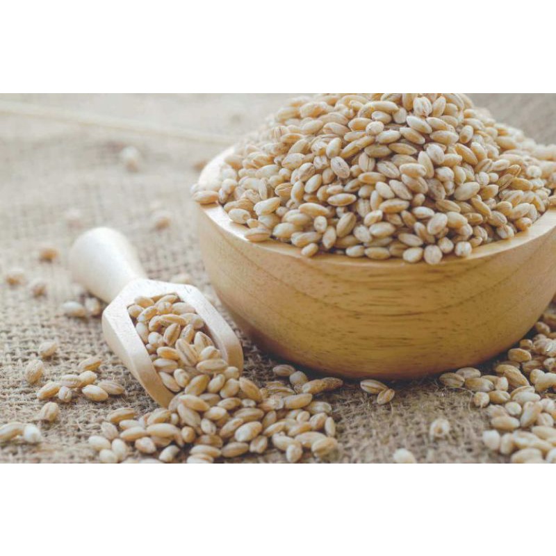 Barli organik / Pearl barley /500gm /1kg | Shopee Malaysia