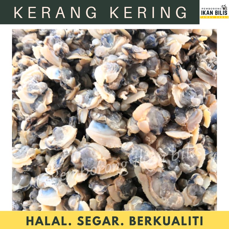 KERANG KERING SEGAR TAWAU SABAH | Shopee Malaysia