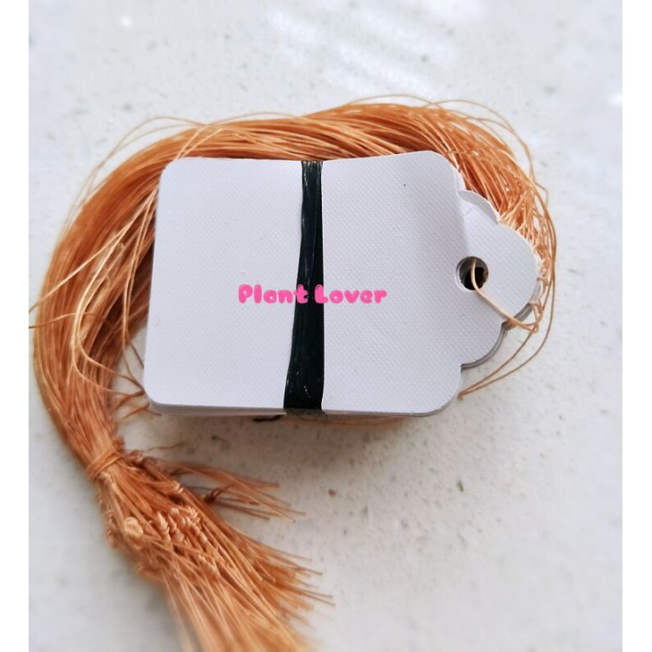 Tag untuk pokok dan bunga(100 keping atau 50 keping) | Shopee Malaysia