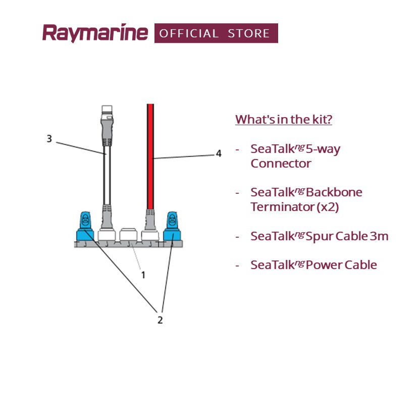 RAYMARINE STNG STARTER KIT - STNG NETWORKING (5 WAY CONNECTOR, BACKBONE ...