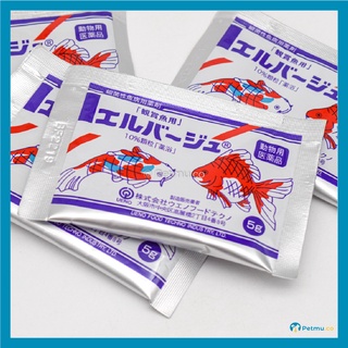 TAIYO Ueno Japanese Yellow Powder Aquarium Fish Tank Medical Powder ...