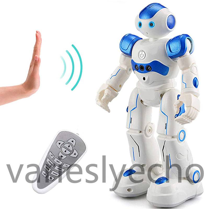 RC Robot Toy, Smart Induction Robot Toys for Kids, Programmable ...