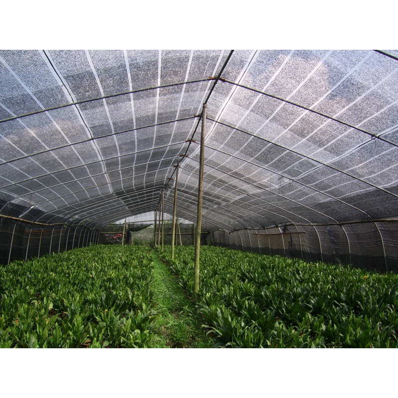 HDPE 30m Sun Shading Shade Orchid Net 2m / 1m x 30m x 50% / 70% / 90% ...