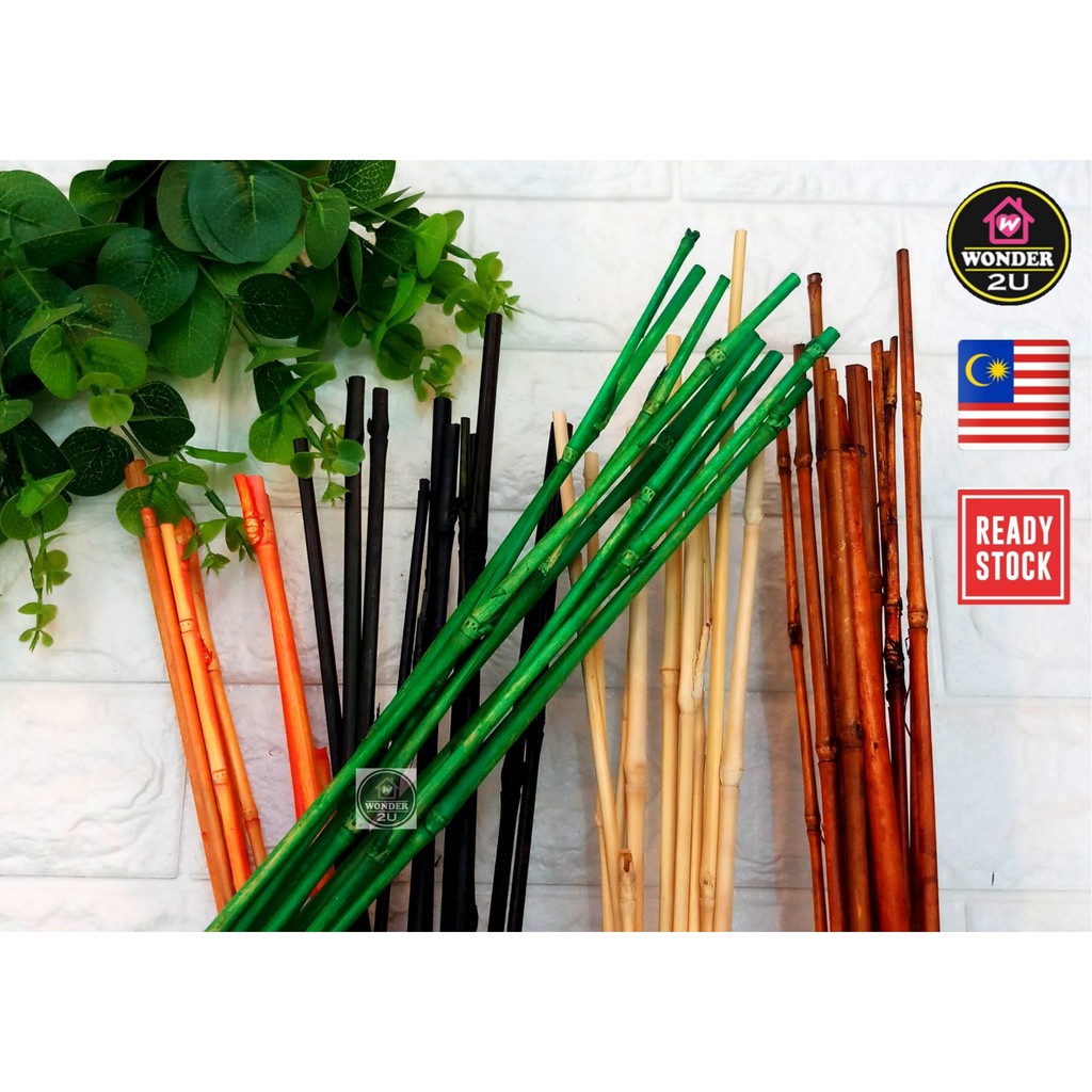 Buluh Orkid Bamboo Stick Ranting Buluh Ranting Kayu Ranting Orkid For ...