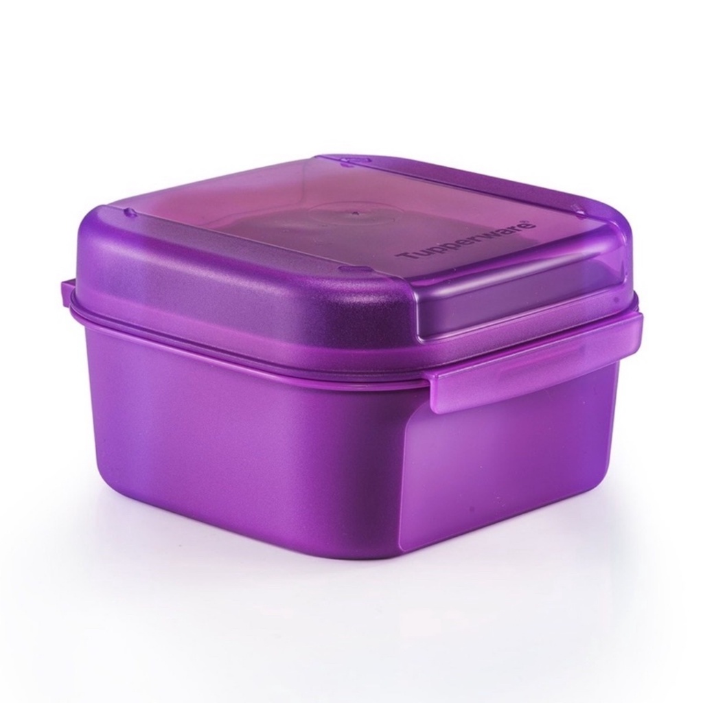 8 jns: Tupperware Handy Signature Line Rectangular 980ml/450ml Mini ...