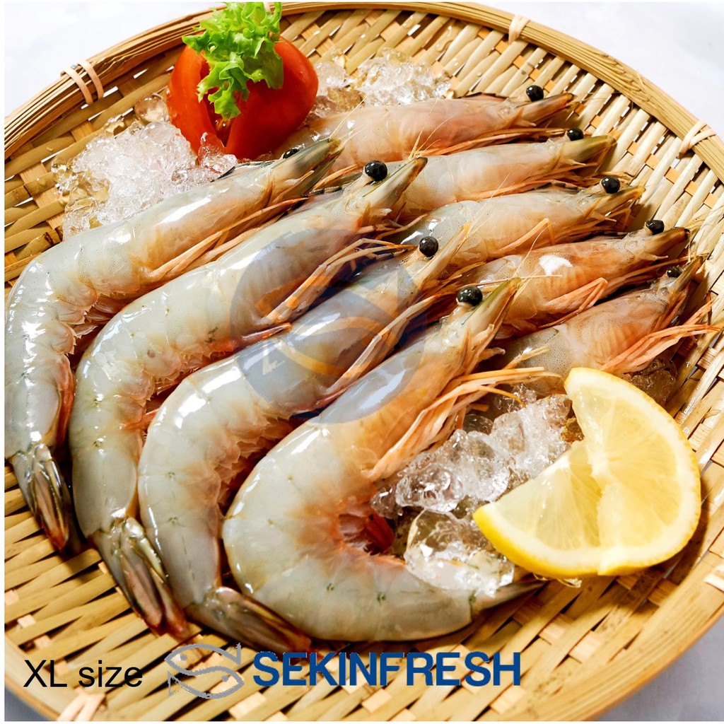Ming Prawn (XL) / Udang Laut (XL) / 明虾 XL (20-24pcs per kg) Wild caught ...