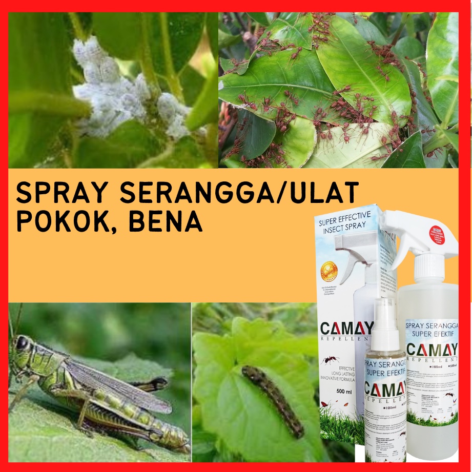 SPRAY SERANGGA / ULAT POKOK, BENA | Shopee Malaysia