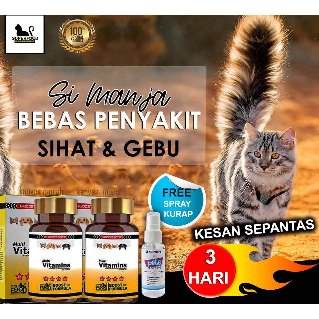 superfood vitamin kucing multivitamin cat ubat sporo bulu gugur fungus ...