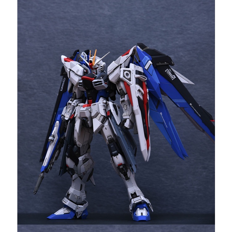 Mg 1/100 Freedom gundam Ver 2.0 gk resin conversion kits gundam seed ...