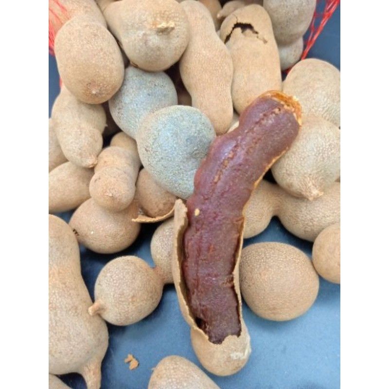 Buah Celagi Manis Thai/Sweet Tamarind 1kg | Shopee Malaysia