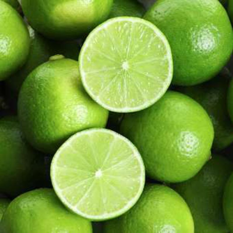 LIMAU NIPIS SEGAR 500G. | Shopee Malaysia