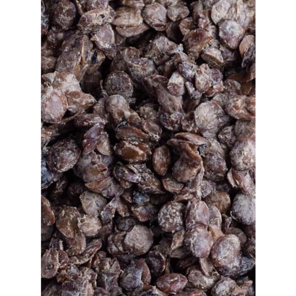Fresh Iru (Locust beans) | Shopee Malaysia