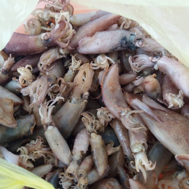 Sotong cumi kering langkawi 250g rm14 | Shopee Malaysia