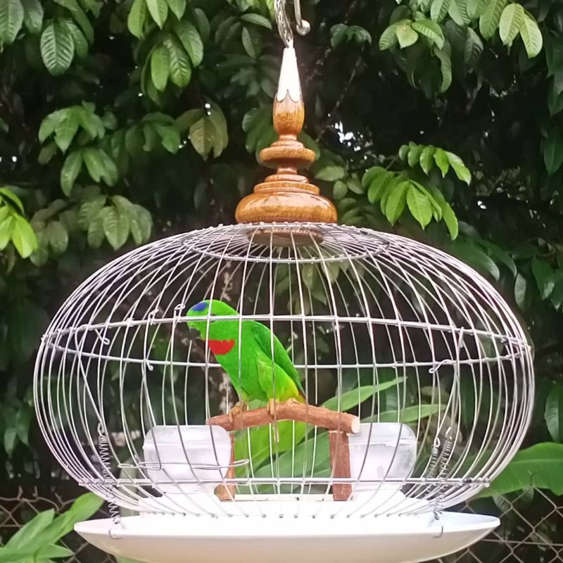 Sangkar burung serindit (handmade) | Shopee Malaysia