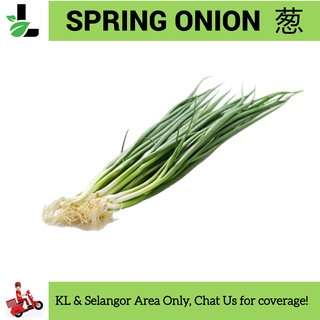 Spring Onion ±150gr / 葱 / Daun Bawang - Fresh Vegetables | Shopee Malaysia