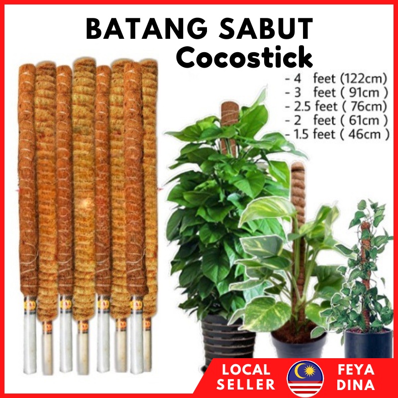 Batang Sabut Kelapa - Coco Stick Climbing Plant Support Untuk Pokok ...