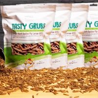 BSF Frass / Bio Fertilizer / Organic Fertilizer / Soil Conditioner ...