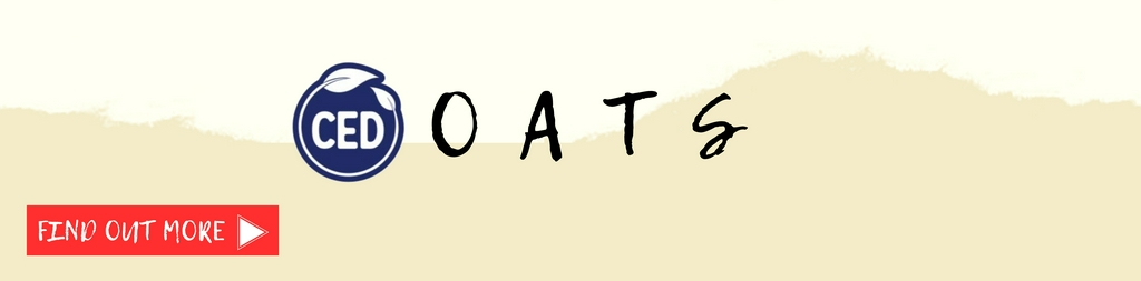 SCC Marketplace, Online Shop | Shopee Malaysia