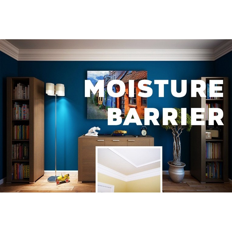 Moisture Barrier Paint/ Anti Moisture Coating Paint 1L (BM Coating ...