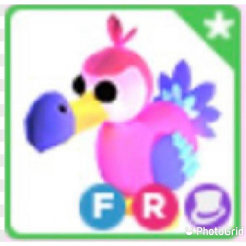 Adopt Me Legendary Dodo Fly Ride(FR) | Shopee Malaysia
