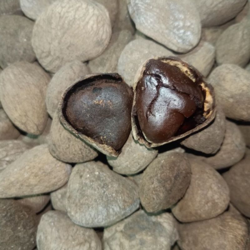 kluwek /bumbu masak rawon/200g/500g/1kg | Shopee Malaysia