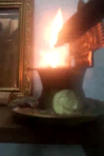 Sambrani Tree Bark/ kayu pokok kemenyan | Shopee Malaysia